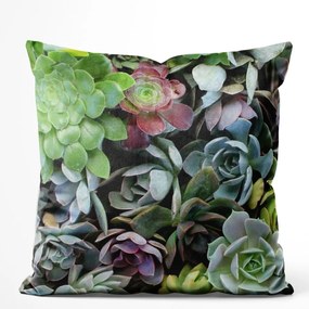 Dekorační velurový polštář Různé sukulenty - květinová kompozice s bohatými detaily