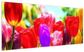 Obraz tulipánů  (100x40 cm)