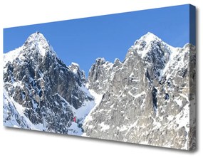 Obraz na plátně Hora Sníh Krajina 100x50 cm