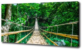 Wallmuralia Foto obraz na plátně Most tropický les 100x50