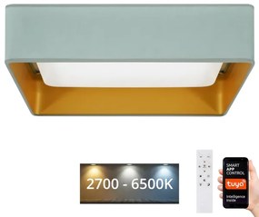 Brilagi-LED Stmívatelné svítidlo VELVET SQUARE LED/36W/230V Wi-Fi Tuya+DO mintov