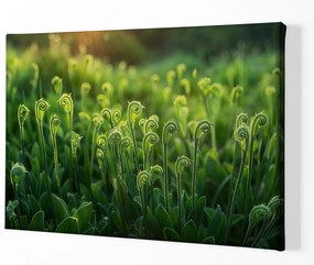 Obraz na plátně - Když se příroda vykrůcá FeelHappy.cz Velikost obrazu: 120 x 80 cm