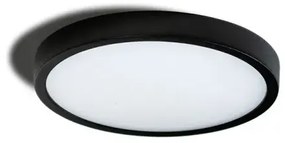 LED stropní svítidlo Malta R 30 4000K černé