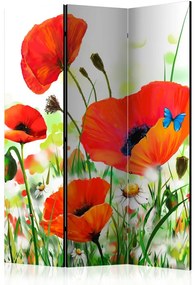 Paraván Country poppies Dekorhome 135x172 cm (3-dílný)