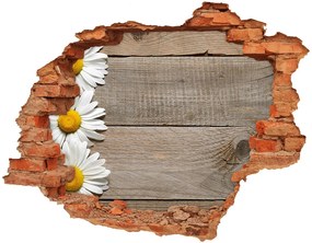 Wallmuralia Samolepící díra nálepka Sedmikrásky dřevo 90x70 cm