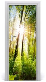Fototapeta na dveře samolepící slunce v lese 95x205 cm