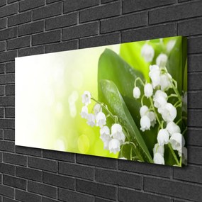 Obraz na plátně Konvalinky Listy Květiny Louka 100x50 cm