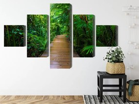 Vícedílný obraz Dřevěný Most V Tropickém Lese 3D Nedostatek Nedostatek Přírodní plátno 250x150