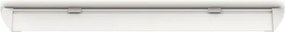 PH 31248/31/P3 LED Aqualine SVÍTIDLO NÁSTĚNNÉ LED 24W 2350lm 4000K IP65, bílá 57,5cm - PHILIPS (915005684401)