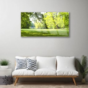 Obraz na skle Tráva Stromy Park Příroda 120x60 cm