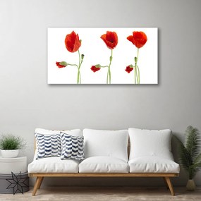 Obraz na plátně Máky Rostlina Příroda 100x50 cm