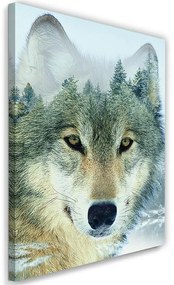Gario Obraz na plátně Vlk v pozadí lesa Rozměry: 40 x 60 cm