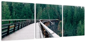 Obraz - Most k vrcholkům stromů (s hodinami) (90x30 cm)