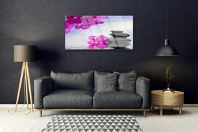 Obraz na skle Květiny Kameny Rostlina 100x50 cm