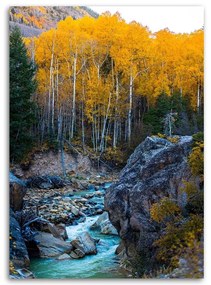 Obraz na plátně Potok Les Příroda Žlutá - 80x120 cm