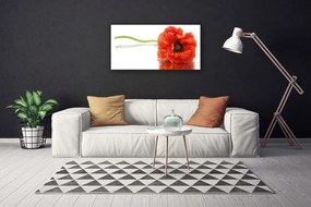 Obraz na plátně Květiny Příroda 125x50 cm