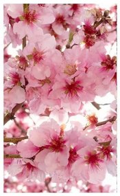 DIMEX | Vliesová fototapeta na zeď Květy jabloní MS-2-0108  | 150 x 250 cm | růžová, bílá, béžová
