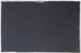 Sametový panel/obraz na stěnu Zebry - 35*45*1cm
