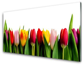 Obraz na skle Tulipány Rostlina 125x50 cm