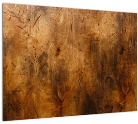 Obraz - Detail dřeva (70x50 cm)