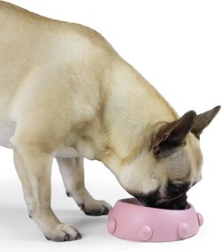 United Pets Stylová miska pro psy a kočky Boss bílá