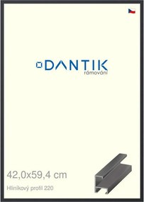 DANTIK rámeček 42x59,4 | ALU profil 6220 Černá matná (Plexi Čiré)