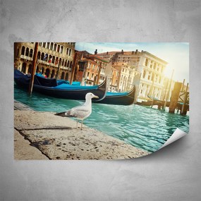 Plakát - Racek v Benátkách (60x40 cm) - PopyDesign