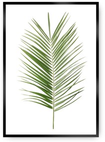 Plakát Palm Leaf Green