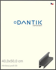DANTIK rámeček 40x50 | ALU profil 6030 Dýha barevná šedá tmavá (Sklo Čiré)