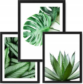 Sada 3 obrazů 33x43 plakáty, Monstera rám ikea #58