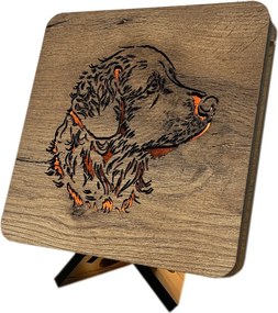 Li-Go "Labrador štěně" lampa 19x19 cm provedení povrchu: bříza