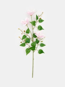 Sinsay - Decorative plant – clematis - pastelová růžová