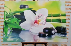 Obraz japonská orchidej
