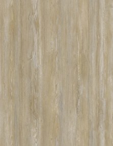 Oneflor Vinylová podlaha lepená ECO 30 066 Prestige Oak Natural  - dub - Lepená podlaha