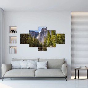 Obraz - Pod Yosemite skálou (125x70 cm)