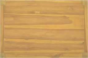 Koupelnová skříňka 60 x 40 x 75 cm masivní teakové dřevo 338249