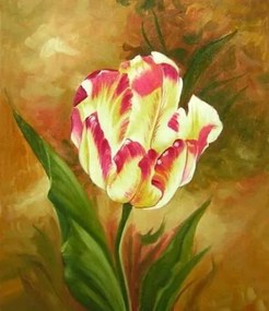 Tulipán - 120 x 90 cm