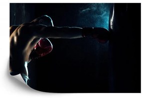 Fototapeta Školení Boxer Ve Stínu Hladký vinyl 135x90