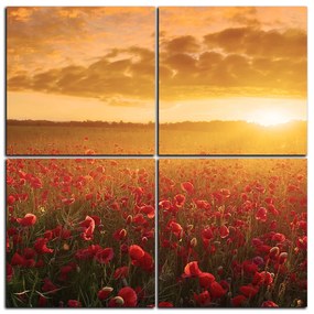 Obraz na plátně - Letní pole - čtverec 3998D (100x100 cm)