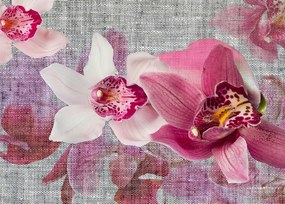 Fototapeta na míru Smyslné Orchideje | Vliesová fototapeta na zed' | DFTNXXL1148