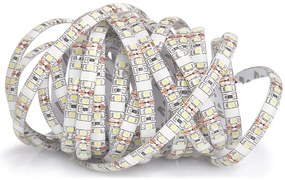 ECOLIGHT LED pásek 2835 - 12V - 5m - 48W - 600 diod - IP63 - neutrální bílá