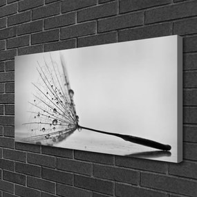 Obraz na plátně Pampeliška Semínka 140x70 cm