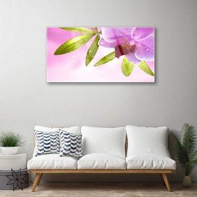 Obraz na skle Květ Listy Rostlina 100x50 cm