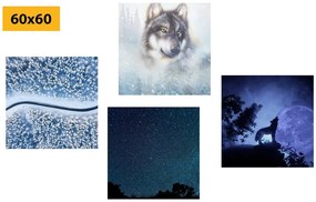 Set obrazů samotářský vlk
