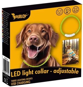 Svíticí obojek pro psy LED Purlov 24200, regulovatelný, nabíjecí USB-C