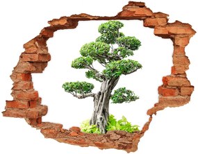 Wallmuralia Samolepící díra na stěnu Strom bonsaj 90x70 cm
