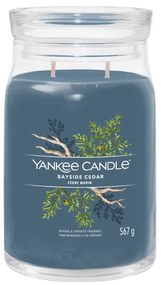 Yankee Candle Signature svíčka velká Bayside Cedar, 567g