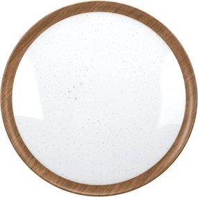 BRILAGI - LED Stropní svítidlo NATURA LED/12W/230V 4000K pr. 26,3 cm