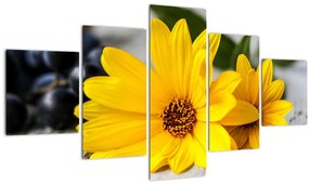 Obraz žluté květiny (125x70 cm)