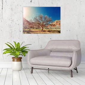Skleněný obraz stromu v poušti (70x50 cm)